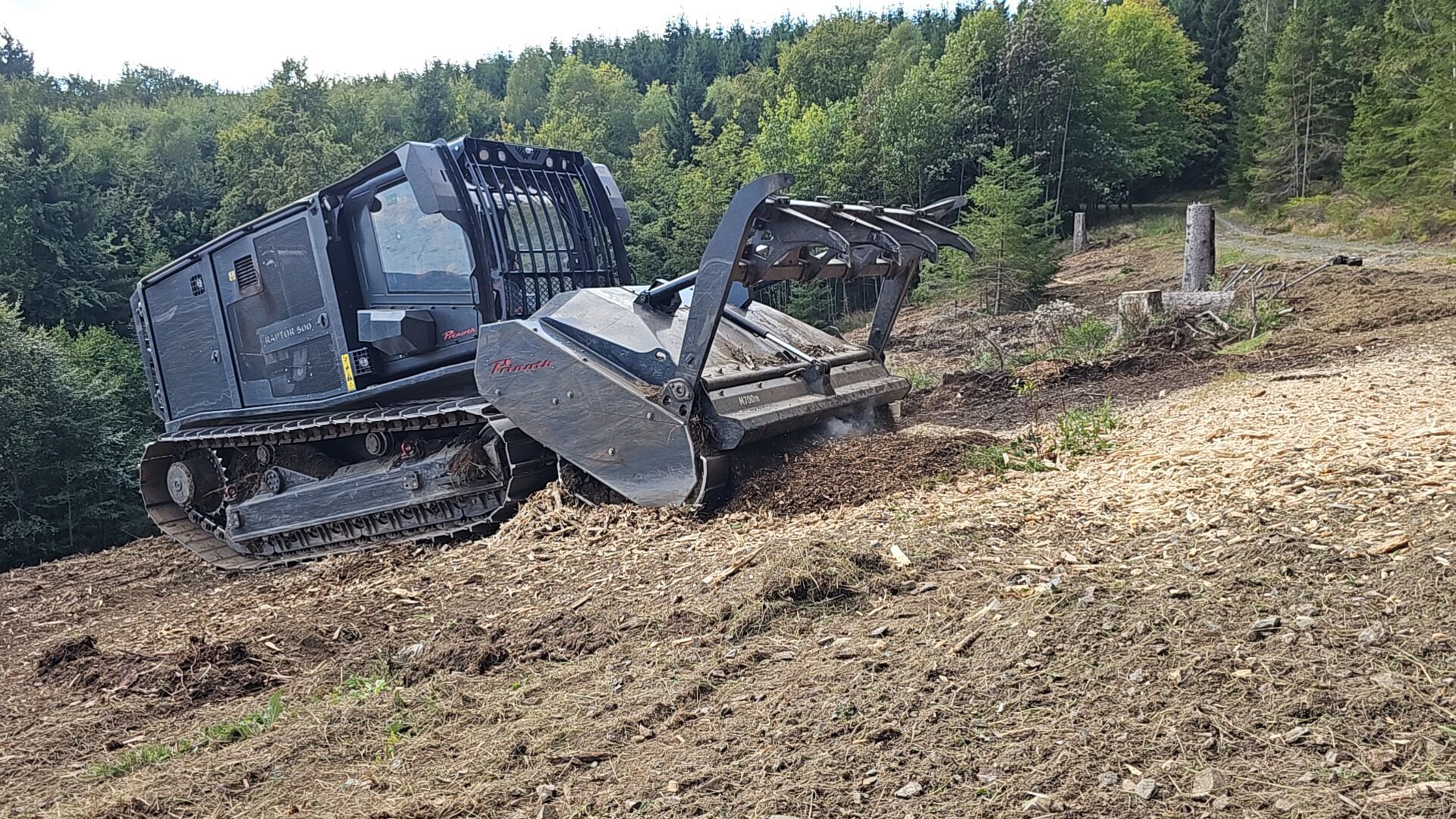 Removal of beetle infested wood - Prinoth