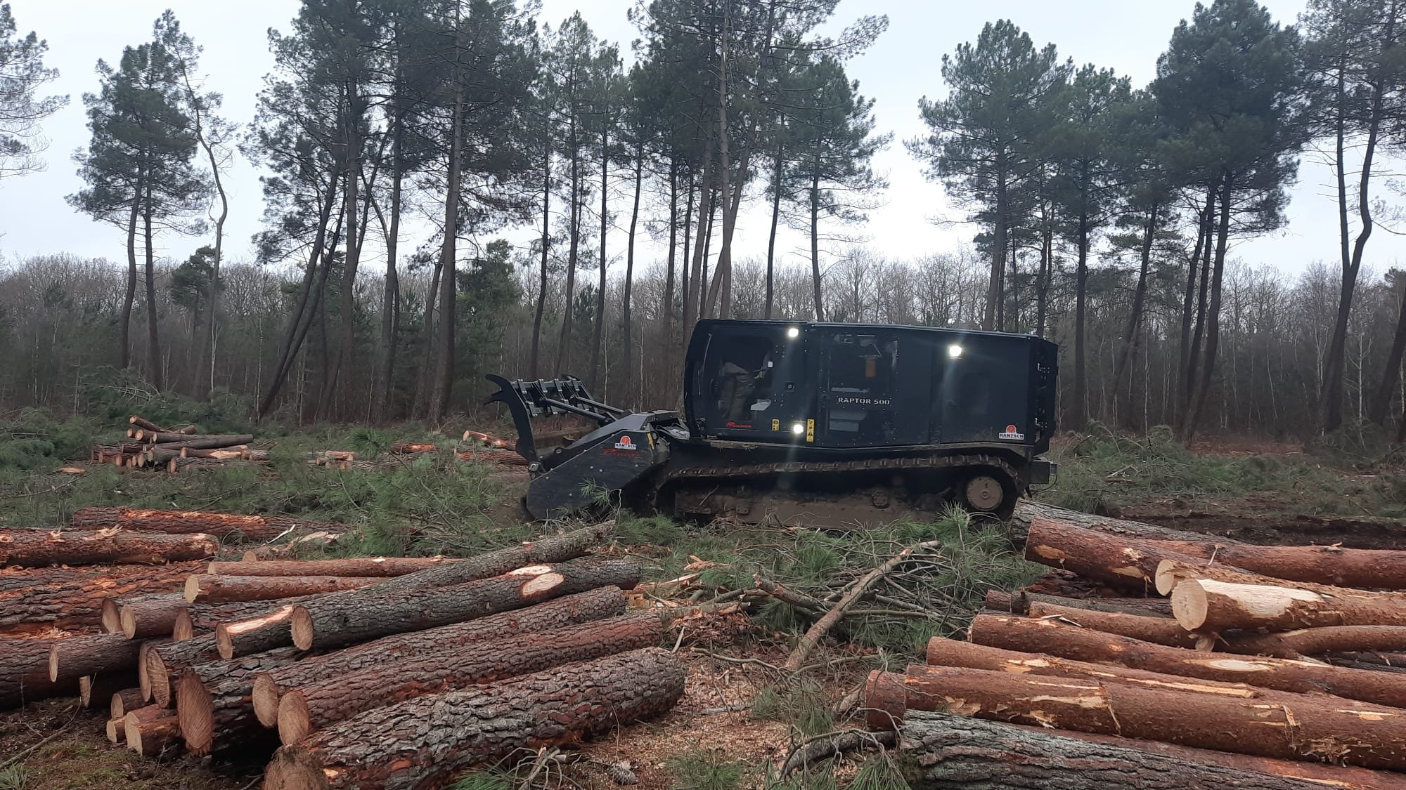 Forestry mulchers for forestry - Prinoth