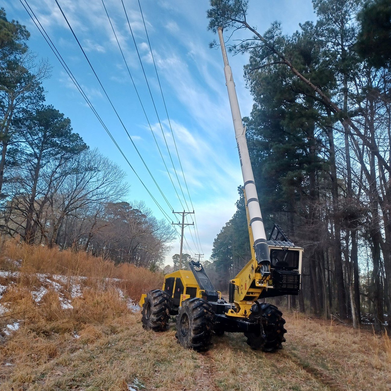 Biomass harvester - Prinoth