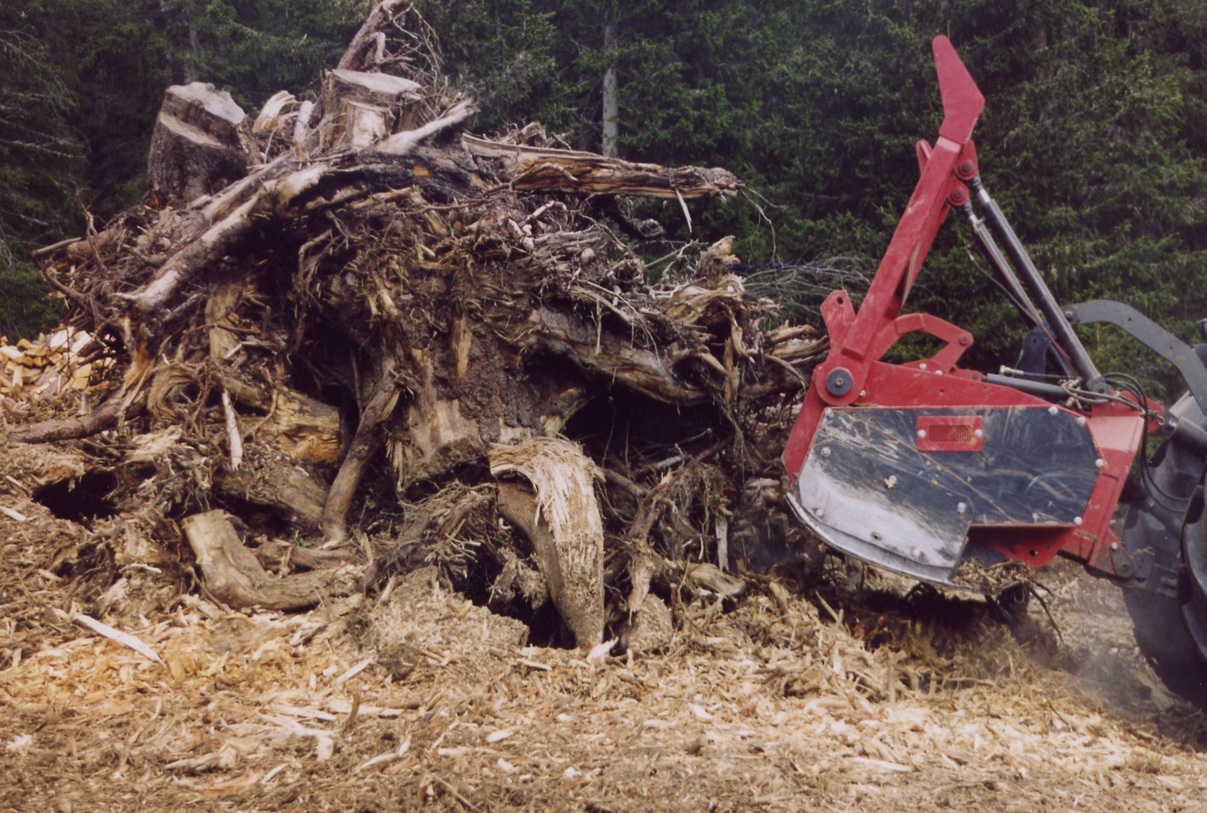 Stump removal - Prinoth