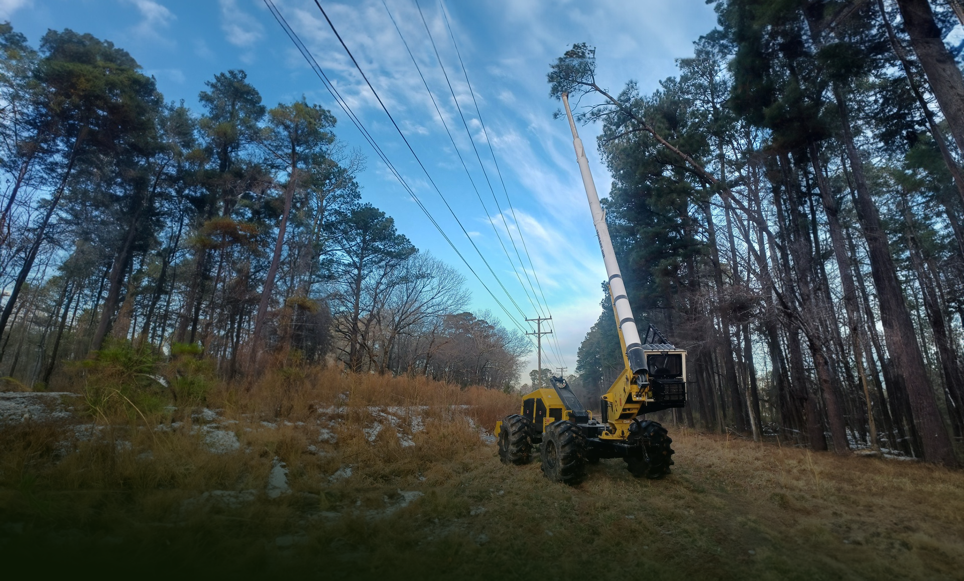 Jarraff Tree Trimmer - Prinoth