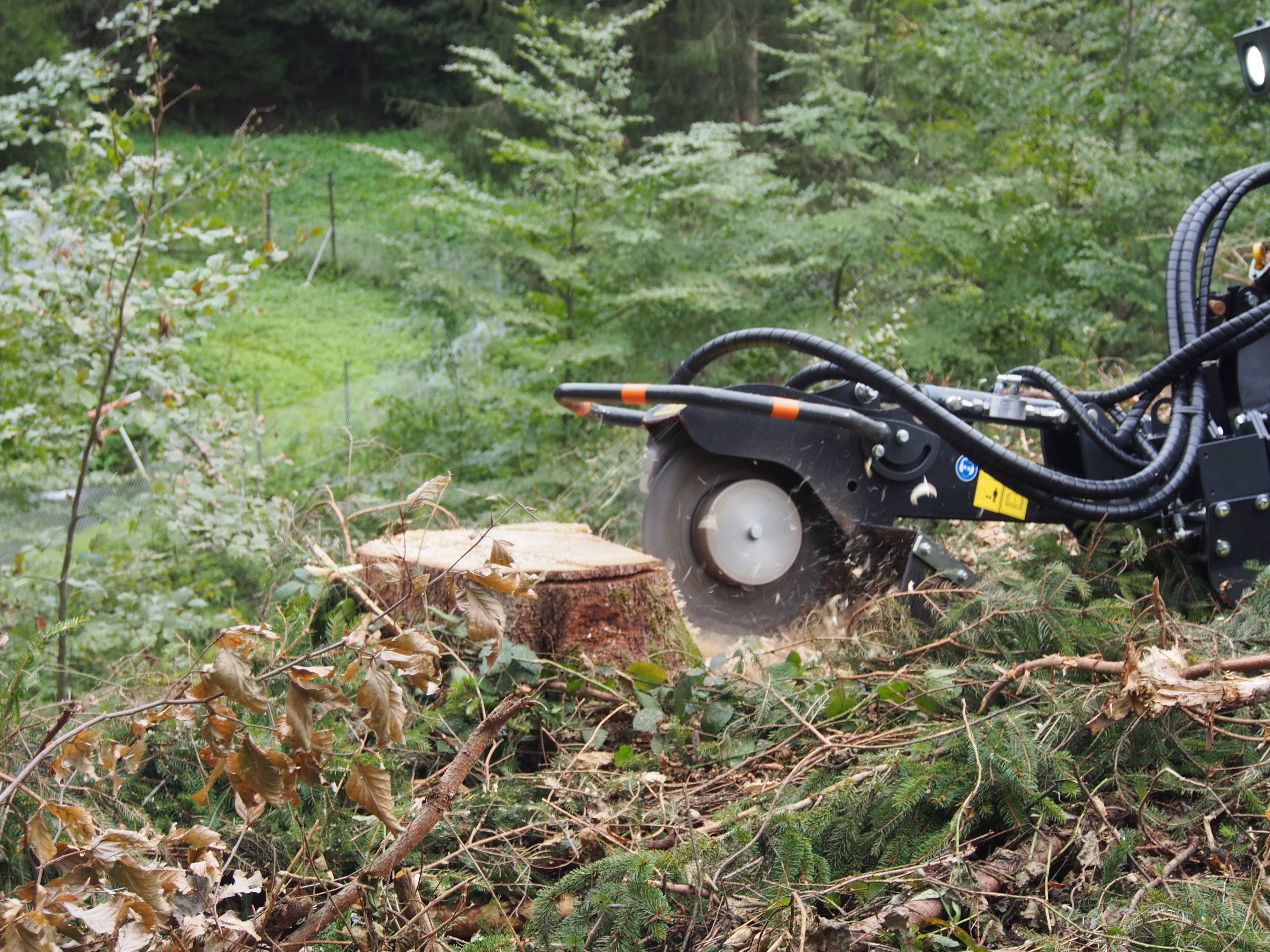Remote-controlled vehicle Raptor 100 - Prinoth