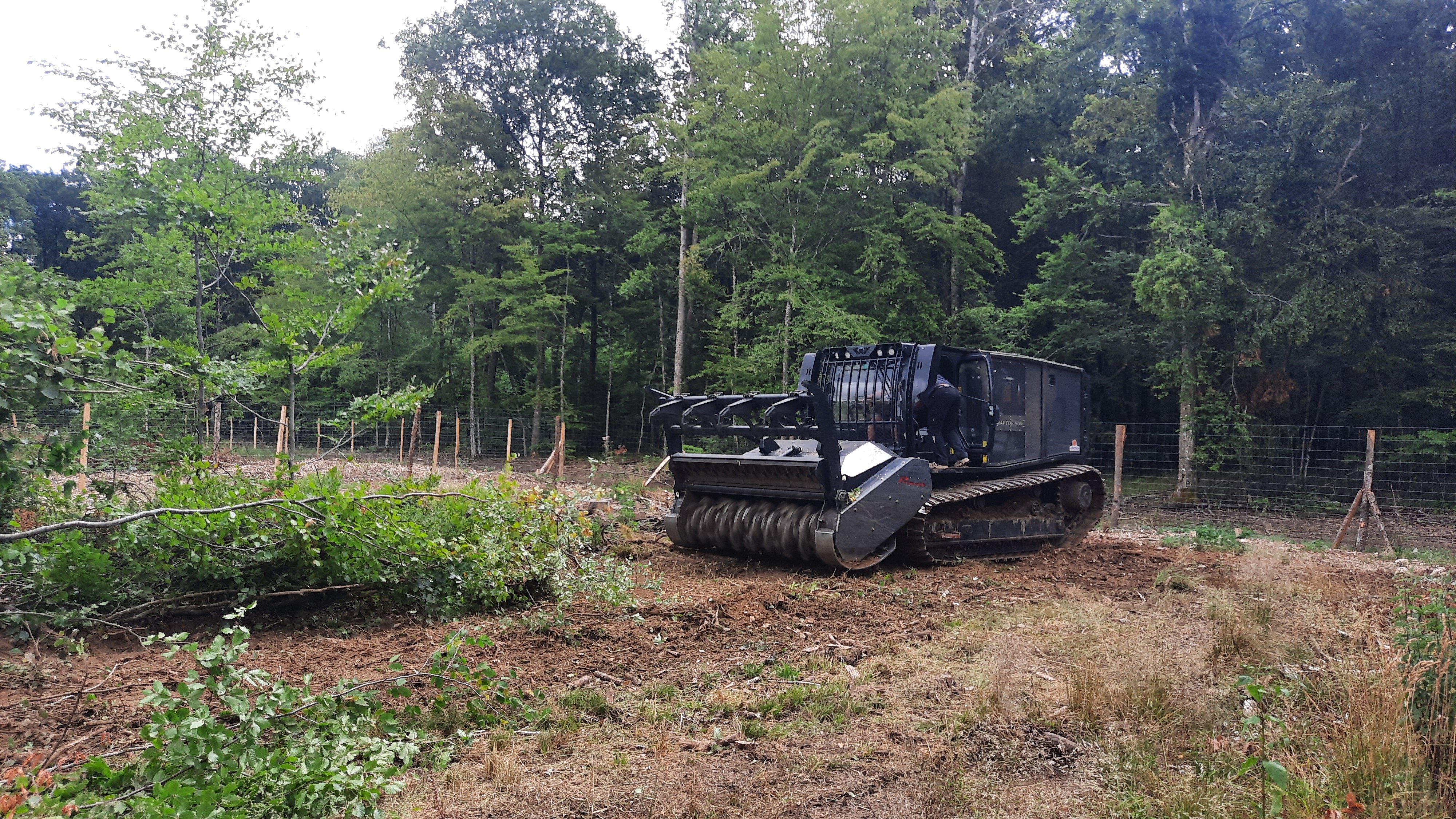 Raptor 500 Forestry Mulching Carrier Vehicle - Prinoth