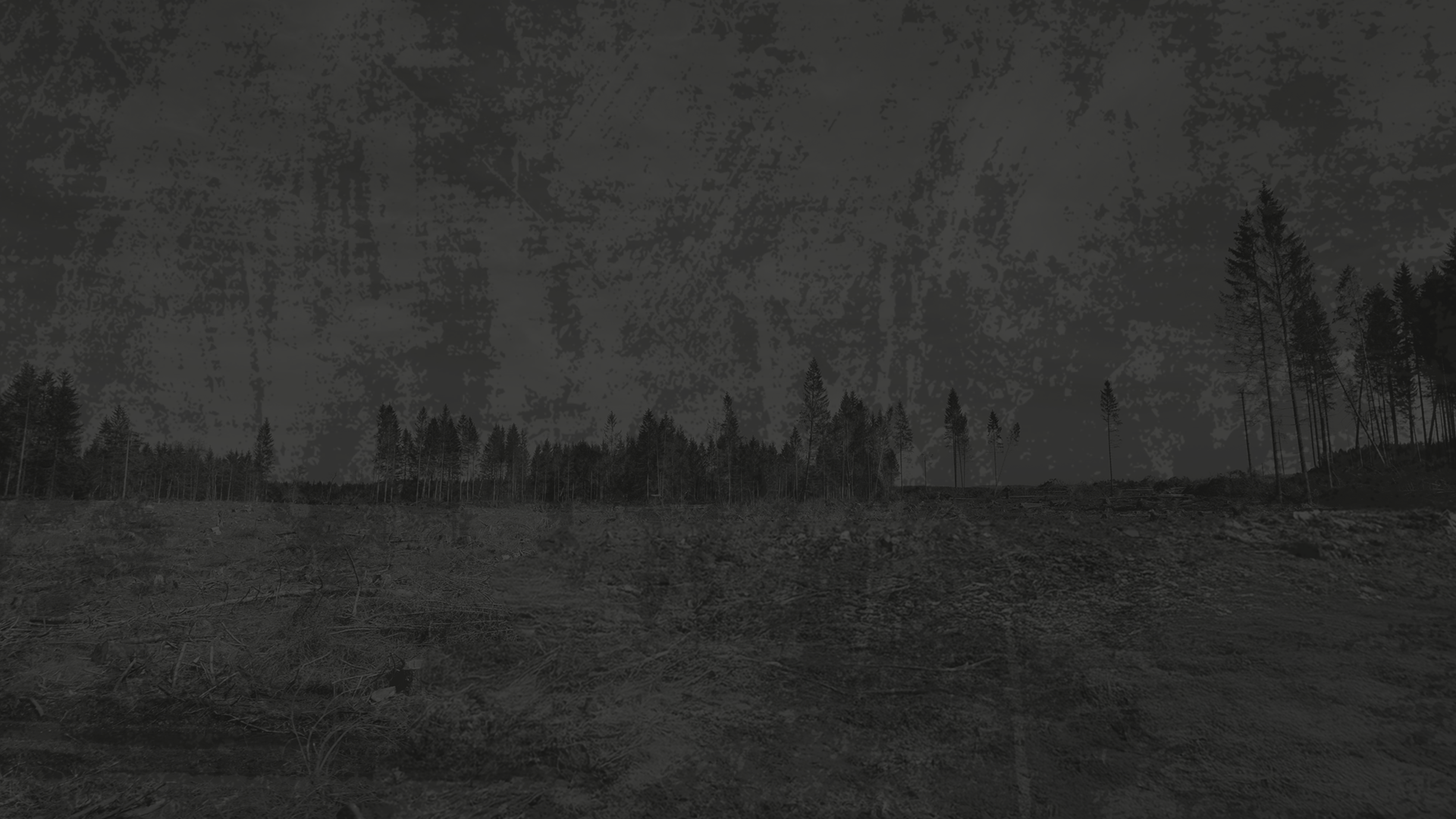 Remote-controlled vehicle Raptor 100 - Prinoth